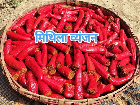 Neelam Maithili Youtubezksbjvqbbna नीलम मैथिल चैनलक