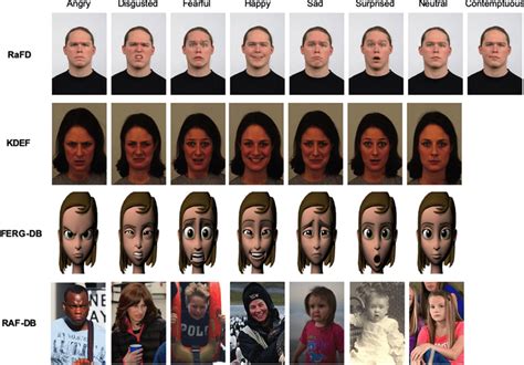 Sample Images From Facial Expression Databases Rafd Database Has Eight Download Scientific