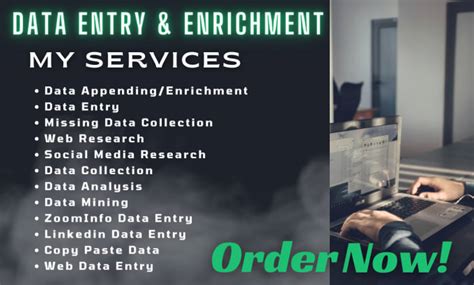 Do Data Enrichment Data Entry By Excellead Fiverr