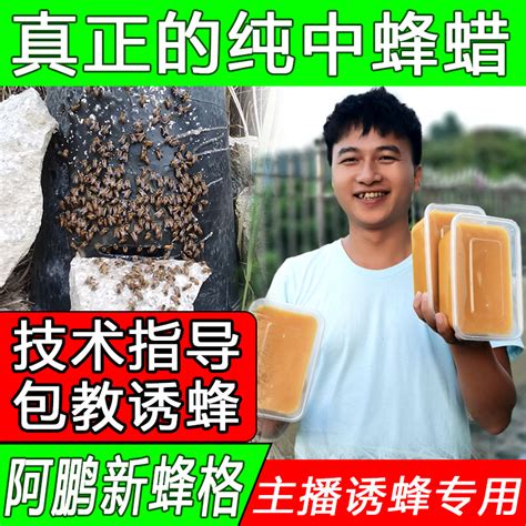 网红主播诱蜂专用纯中蜂蜡老蜂脾招引蜂密封水正土峰蜡阿鹏新蜂格虎窝淘