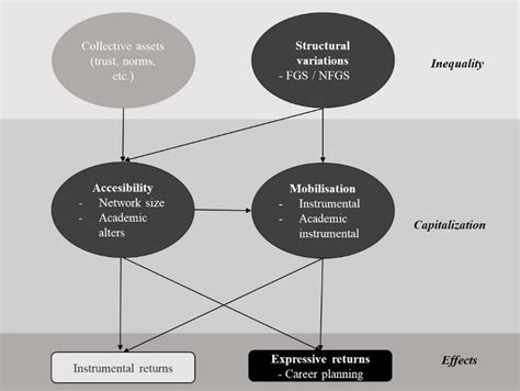 The Social Capital Theory According To Lin 1999 2001 Own Figure