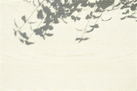 그림자가있는 여유 공간의 나무 책상 자연 잎이나 식물 그림자가있는 빈 흰색 나무 테이블 배경 그늘에 대한 스톡 사진 및 기타