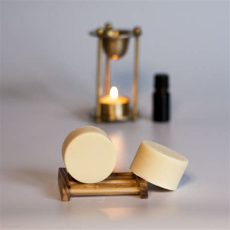 Tea Tree Shampoo Puck From Goap