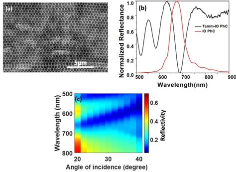 a sem image of sio2 inverse opal on pt coated vitreous silica download scientific diagram