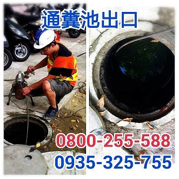 抽水肥價格