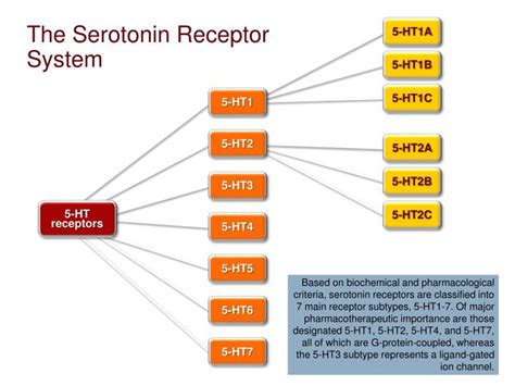 Ppt Receptor Pharmacology In Depression Treatment Powerpoint