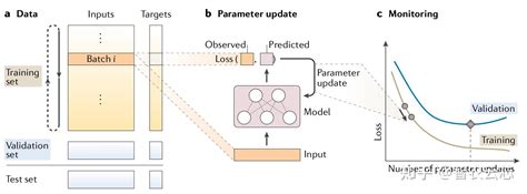 基因组学中的深度学习 知乎