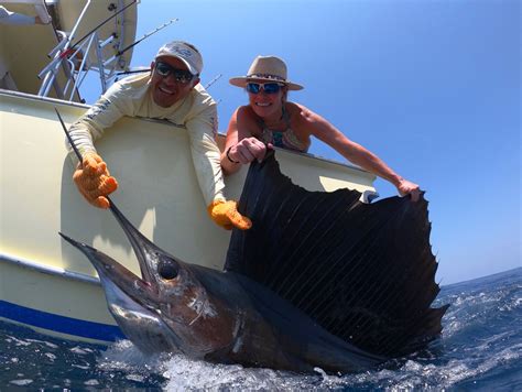 MID MARCH REPORT Sailfish Oasis