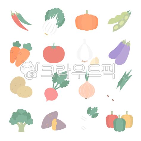 채소 야채 고추 배추 호박 사진이미지일러스트캘리그라피 Slea작가