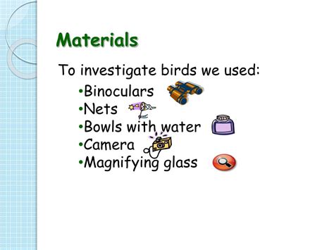 Ppt Bird Migration Powerpoint Presentation Free Download Id 216950