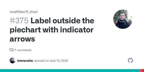 Label Outside The Piechart With Indicator Arrows · Issue 375 · Imanneo