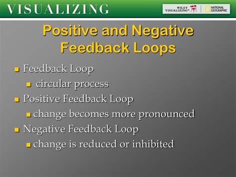 Difference Between Positive And Negative Feedback Loops Mumule