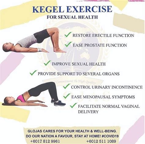 Male Kegel Exercises To Last Longer Felicitas Croteau
