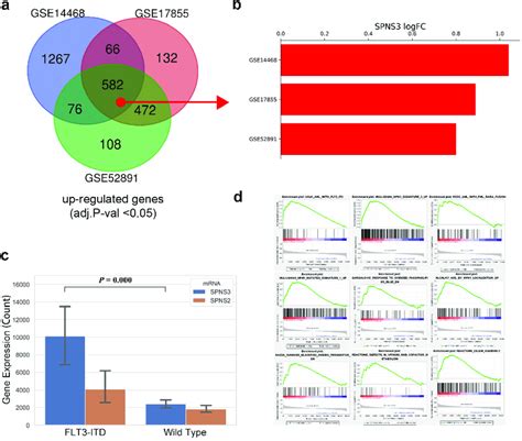 Identification Of The Flt3 Itd Mutation As An Important Regulator Of Download Scientific