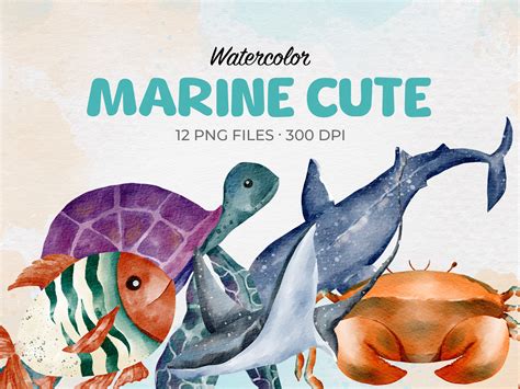 Watercolor Marine Sea Animal Clipart Graphic By Baddesigner · Creative