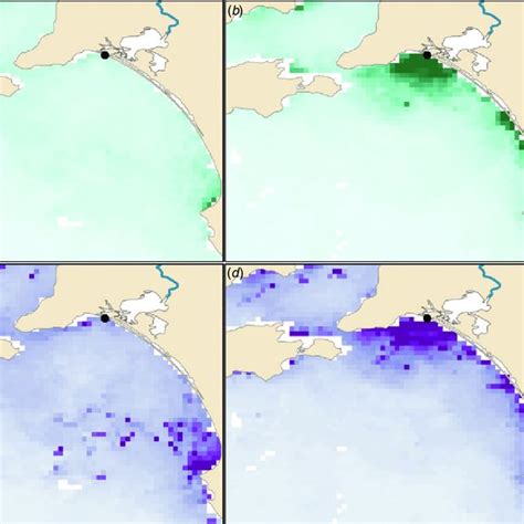 example of modis aqua monthly composite satellite imagery products
