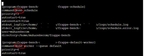 Background Worker Not Working After Install Multiple Bench On The Same