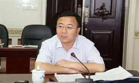 宁夏中卫市原副市长左新波受贿案一审获刑六年并处罚金40万 打虎记 澎湃新闻 The Paper