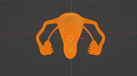 3d Model Of Female Reproductive System Model Turbosquid 2076753