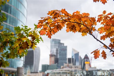 Developing Kind And Mindful Leaders In Organizations