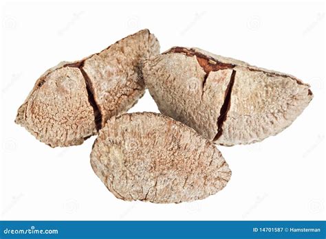 Few Whole Shelled Brazil Nuts Stock Image Image Of Organic Shelled