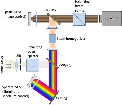 Digital Phantoms Generated By Spectral And Spatial Light Modulators