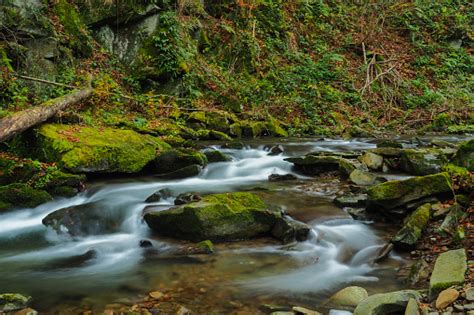 태고의 숲에서가 Bieszczady 산입니다 Rzeka 스트림입니다 Bieszczady 국립 공원 0명에 대한 스톡 사진 및