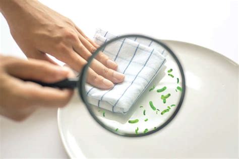 How Hidden Bacteria In Everyday Items Can Help Defend Against Viruses