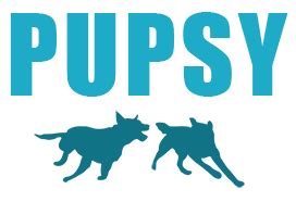 Top 15 Dog Friendly Camping Grounds in Queensland | Pupsy