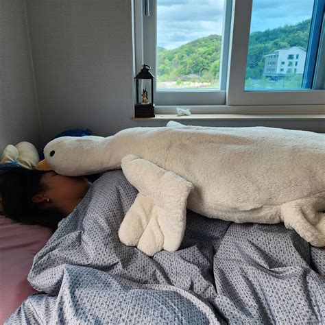 설계하고 새벽에 들어와서 완전 뻗었는데 아빠가 아침에 이렇게 거위인형 올려놓고 사진 찍었나봐 그러고 가족 단톡방에 찐이 거위