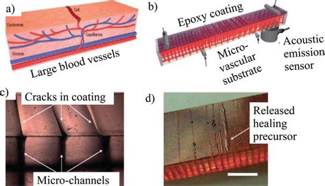 Self Healing Polymer Composites For Structural Application Intechopen