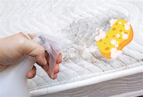 Comment enlever une tache d urine ancienne et séchée sur un matelas