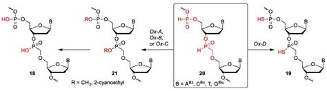 Solid Phase Synthesis Of Phosphorothioate Phosphonothioate And Phosphoramidate Phosphonamidate