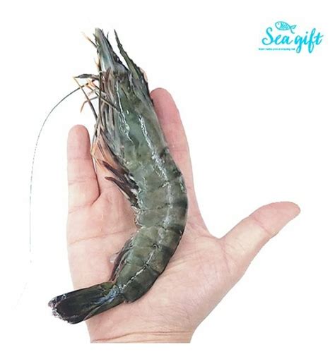 특A급 블랙타이거새우 500g 8 10 15 20 25 30미 500g 냉동왕새우 인증 티몬