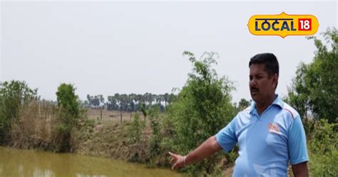बहुत दिमागी है ये किसान 3 बीघा खेत में इन नस्ल की मछलियों का किया पालन