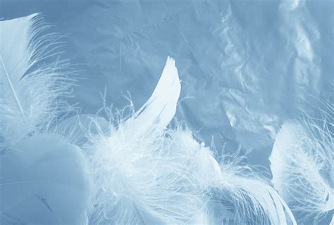 흰색 배경에 아름다운 추상적 인 흰색과 파란색 깃털과 파란색 패턴과 파란색 배경 깃털 배경 파란색 배너에 부드러운 흰색 깃털 질감 0명에 대한 스톡 사진 및 기타 이미지