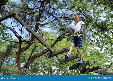 Obstacle Tree Climbing Course In Adventure Park Royalty Free Stock Image CartoonDealer Com