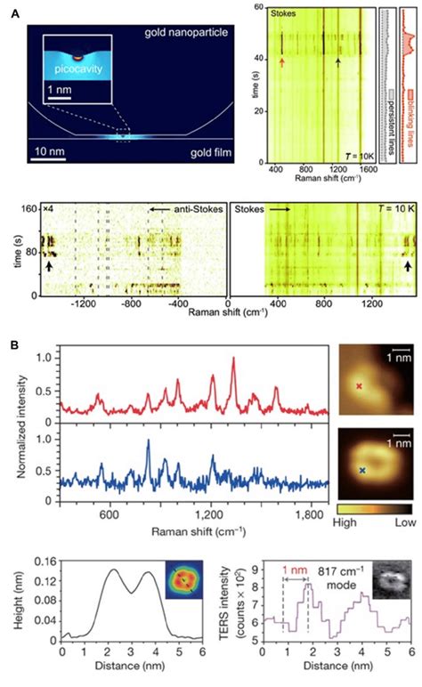 Single Molecule Sers And Ters Detection A Top Left Near Field Map Download Scientific