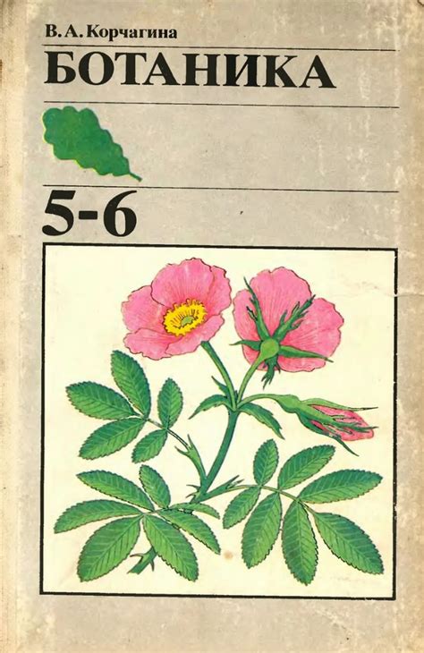 Ботаника | Корчагина, 1985 - скачать бесплатно
