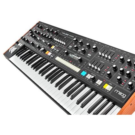 Moog Muse United States