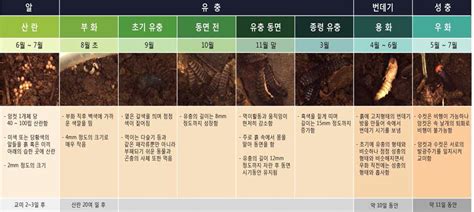 [보고서]운문산반딧불이 복원사업 3차년도