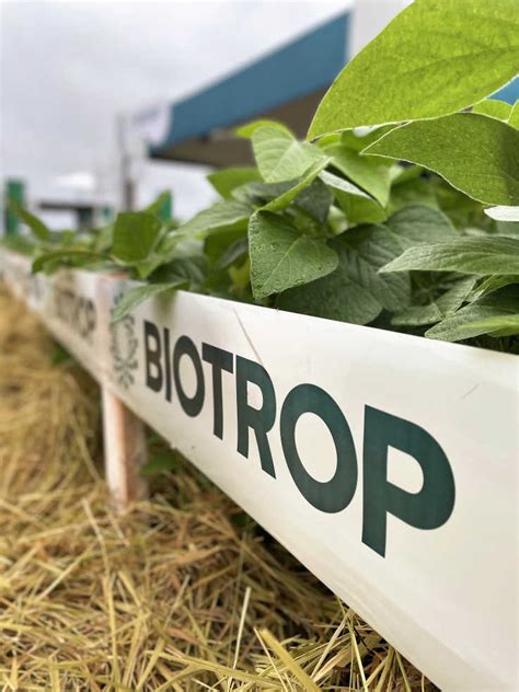 Biotrop Leva Tecnologias Biológicas Inovadoras Para Soja E Milho Ao