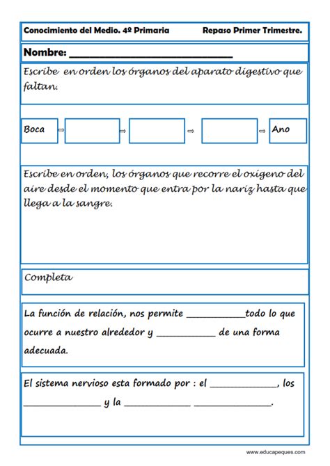Fichas Conocimiento Del Medio Cuarto De Primaria Artofit