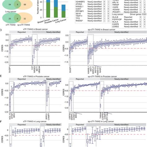 Core Tf Transcriptional Network Regulating Putative Susceptibility
