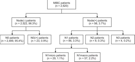 Flowchart Of Lymph Node Metastasis In Microinvasive Breast Cancer
