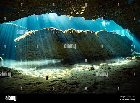 Entrance To The Underwater Cave System Sac Actun At Casa Cenote Tulum