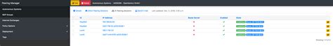 multi edit peering session option in the asn ix peering sessions