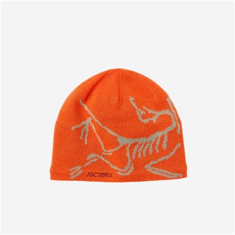 아크테릭스 버드 헤드 토크 오르카 Arcteryx Kream