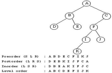 Mengenal Struktur Data 8 Binary Tree Pohon Biner Kota Vrogue Co