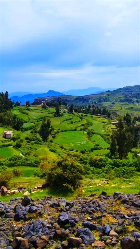 خليل عبد الجليل السمه